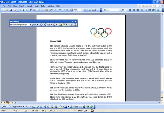 MS Word 2002 - Tracking changes