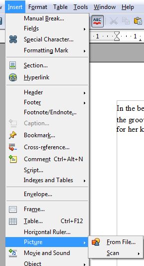 Tipsheet - Open Office Writer - Image Insert